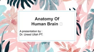 Detailed Anatomy of the Human Brain and its functions | PPTX