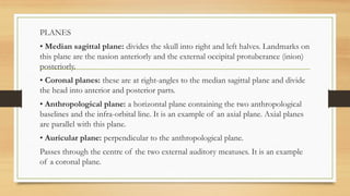 anatomy of the brain.one of the bestpptx | PPTX
