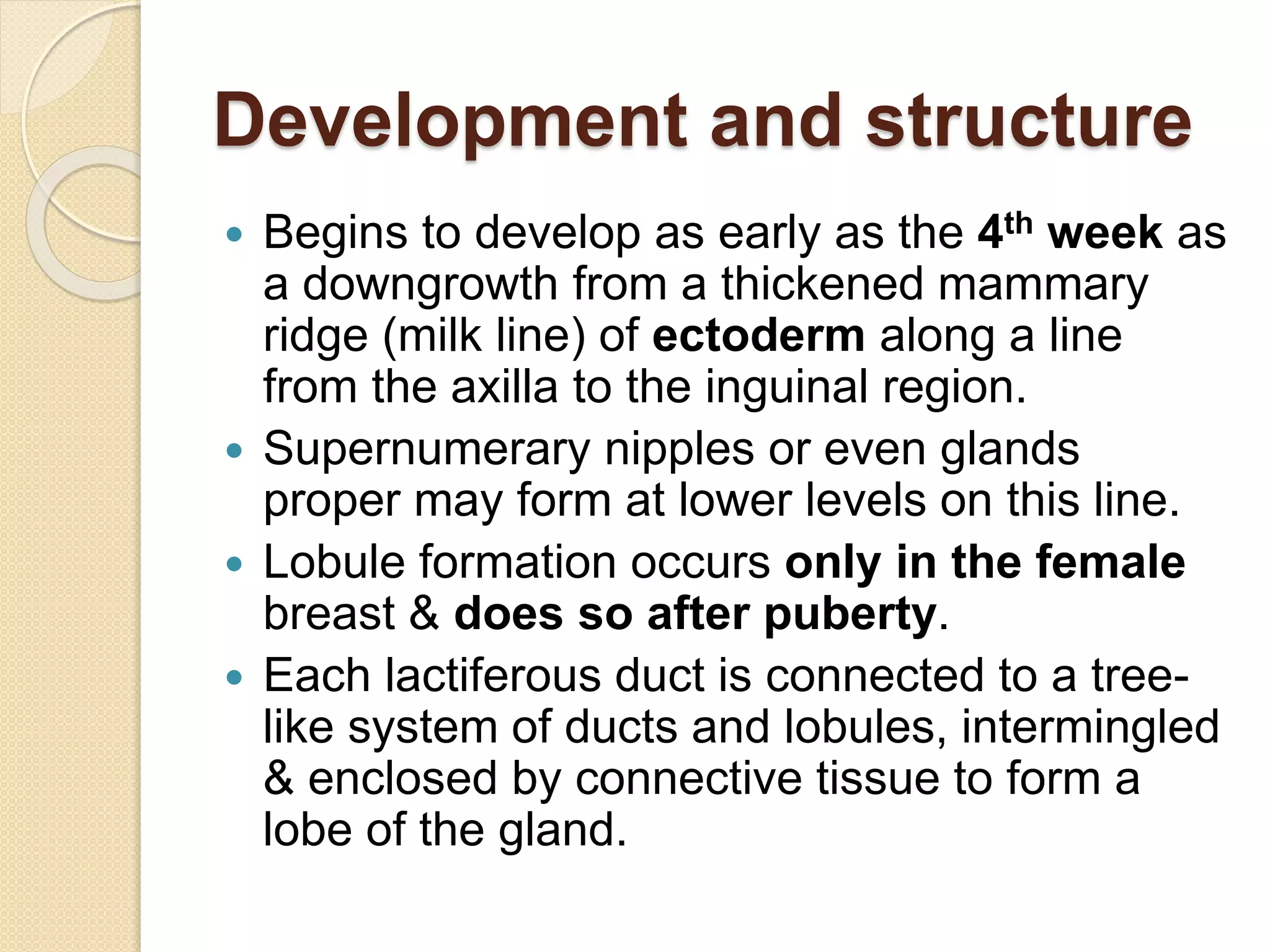 Anatomy of the breast | PPT