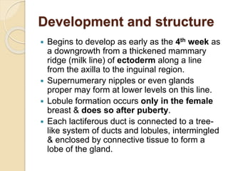 Anatomy of the breast | PPTX
