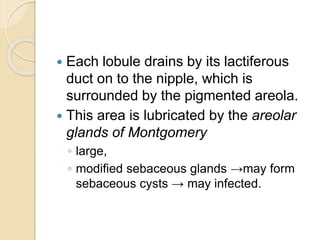 Anatomy of the breast | PPTX