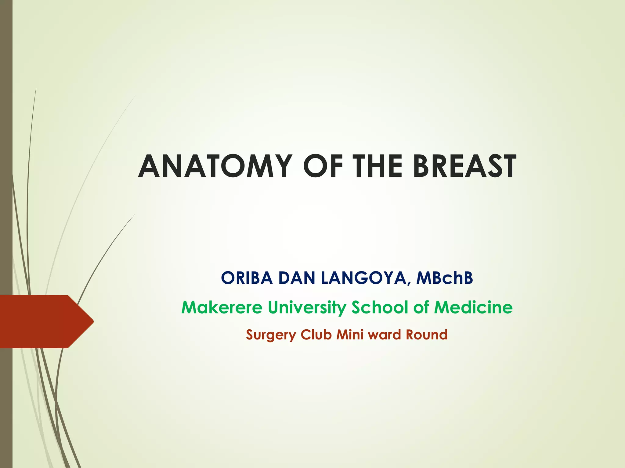 Anatomy of the breast | PPTX