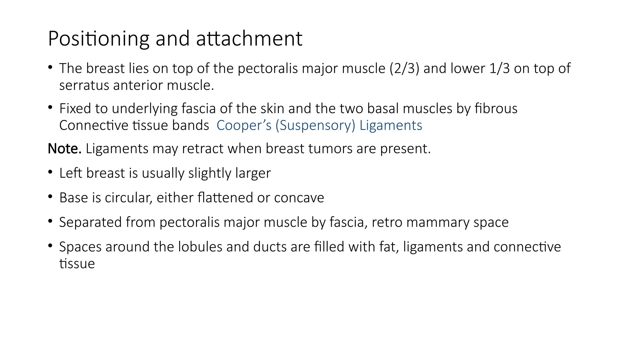 Anatomy of the Breast power point presentation.pptx