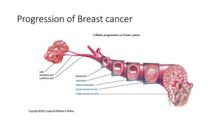 Anatomy of the Breast power point presentation.pptx