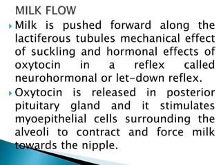 ANATOMY OF THE BREAST AND PHYSIOLOGY OF LACTATION.ppt