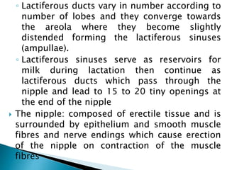 ANATOMY OF THE BREAST AND PHYSIOLOGY OF LACTATION.ppt