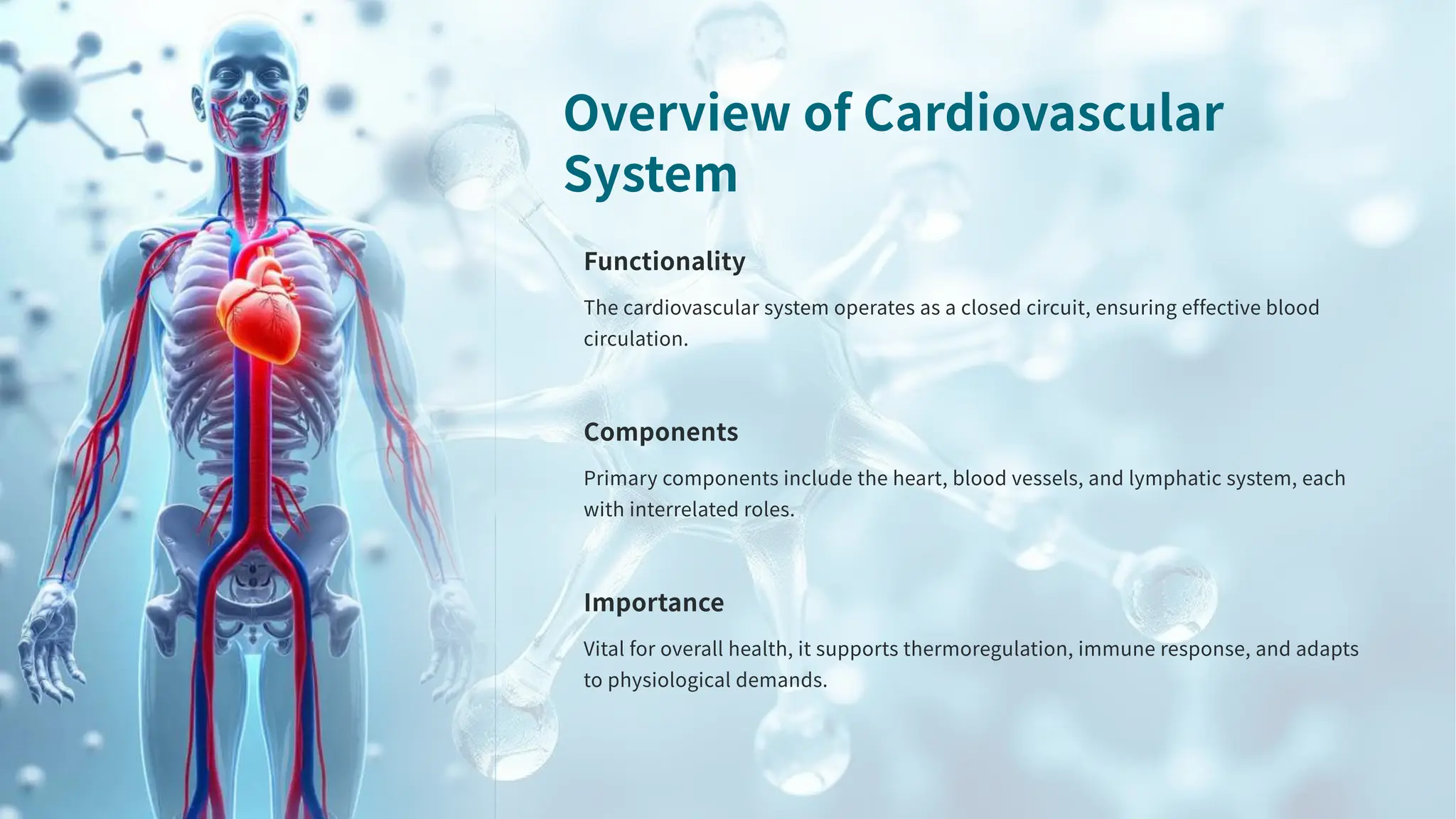 Anatomy of the Cardiovascular system....pdf