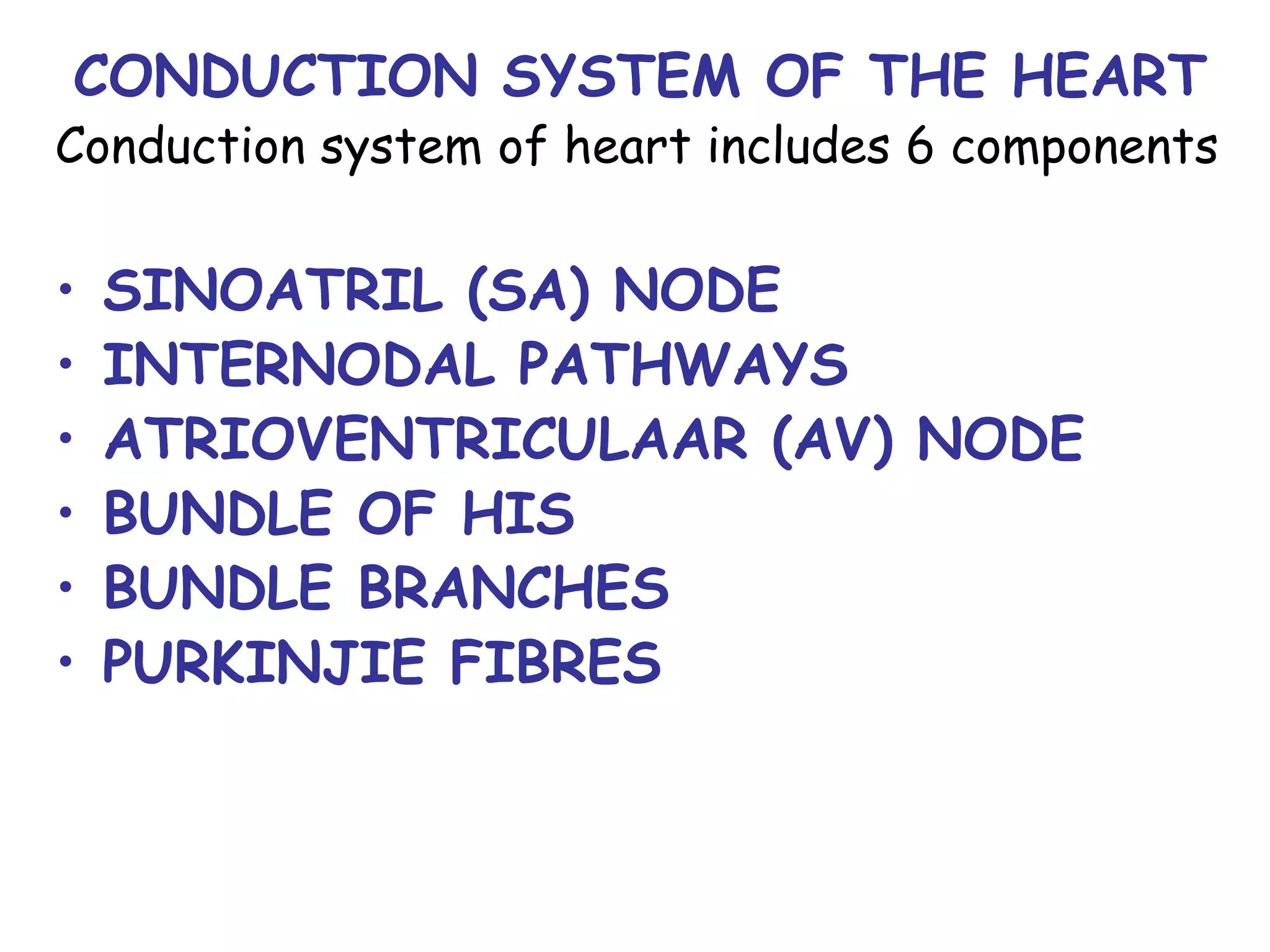 CARDIOVASCULAR SYSTEM - ANATOMY & PHYSIOLOGY | PPT