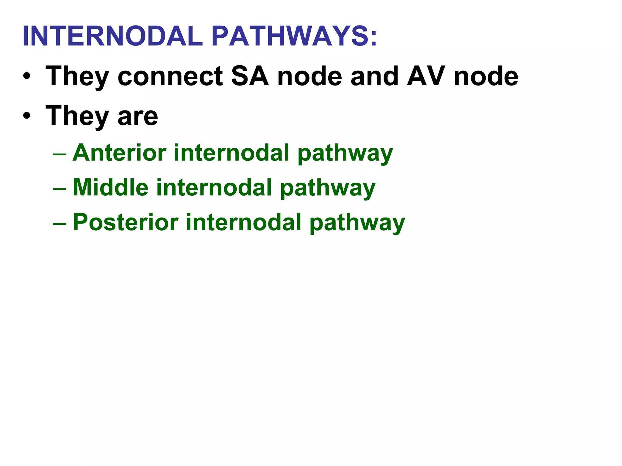 CARDIOVASCULAR SYSTEM - ANATOMY & PHYSIOLOGY | PPT