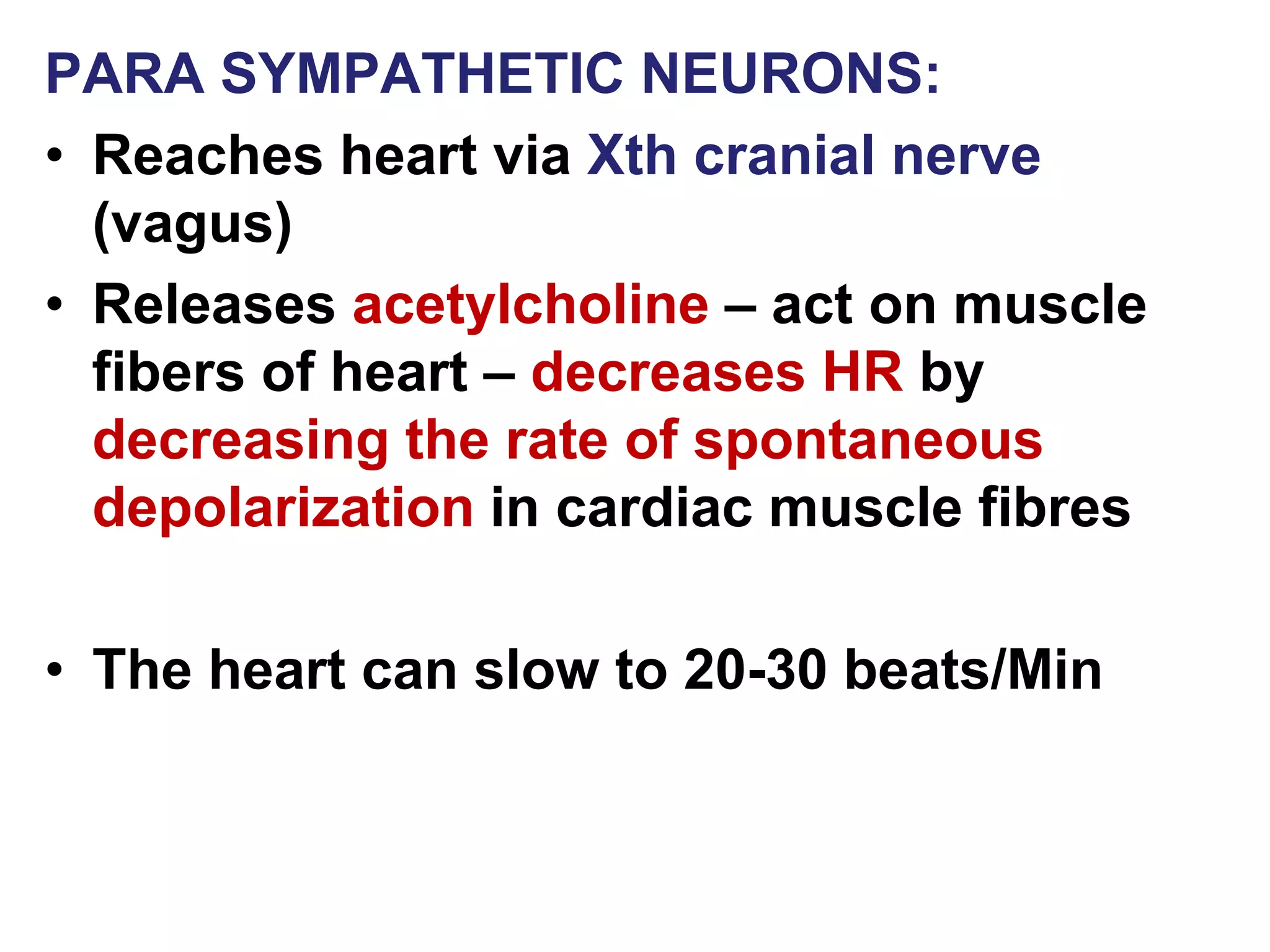 CARDIOVASCULAR SYSTEM - ANATOMY & PHYSIOLOGY | PPT