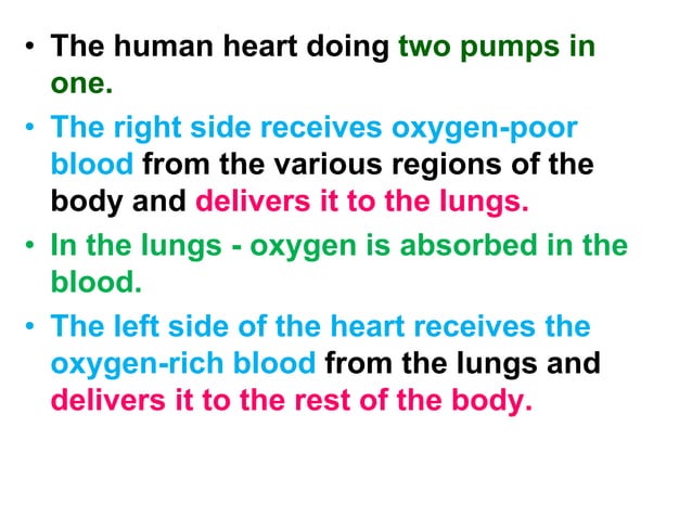 CARDIOVASCULAR SYSTEM - ANATOMY & PHYSIOLOGY | PPT | Heart and ...