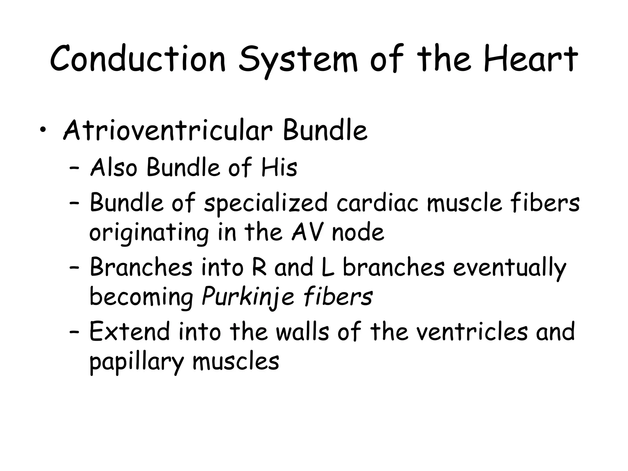 Anatomy_of_the_Cardiovascular_System.ppt