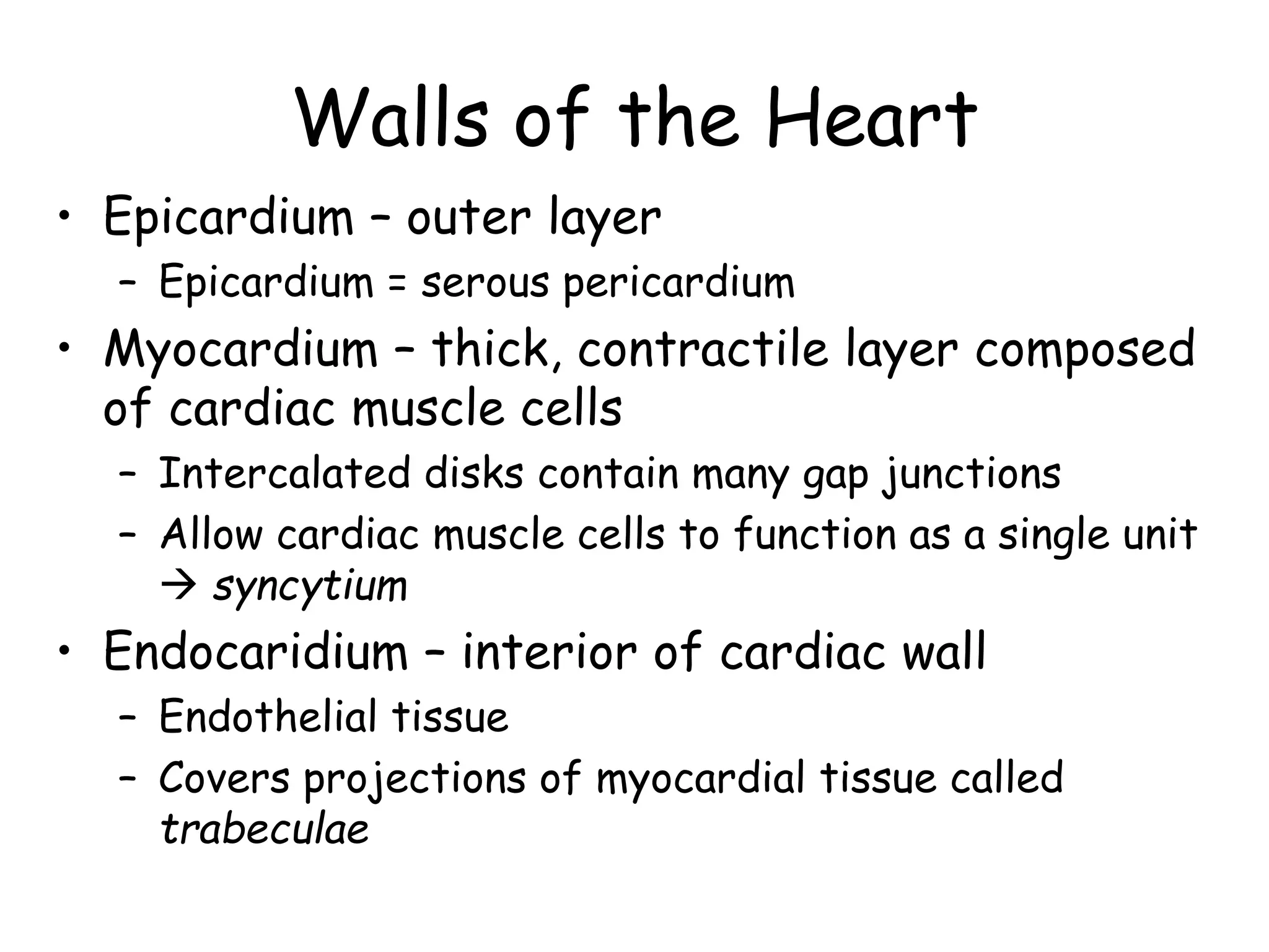 Anatomy_of_the_Cardiovascular_System.ppt