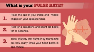 Anatomy of the Cardiovascular System.pdf