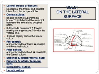 Anatomy of the cerebrum (2015) | PPTX