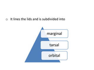 Anatomy of the conjunctiva | PPTX