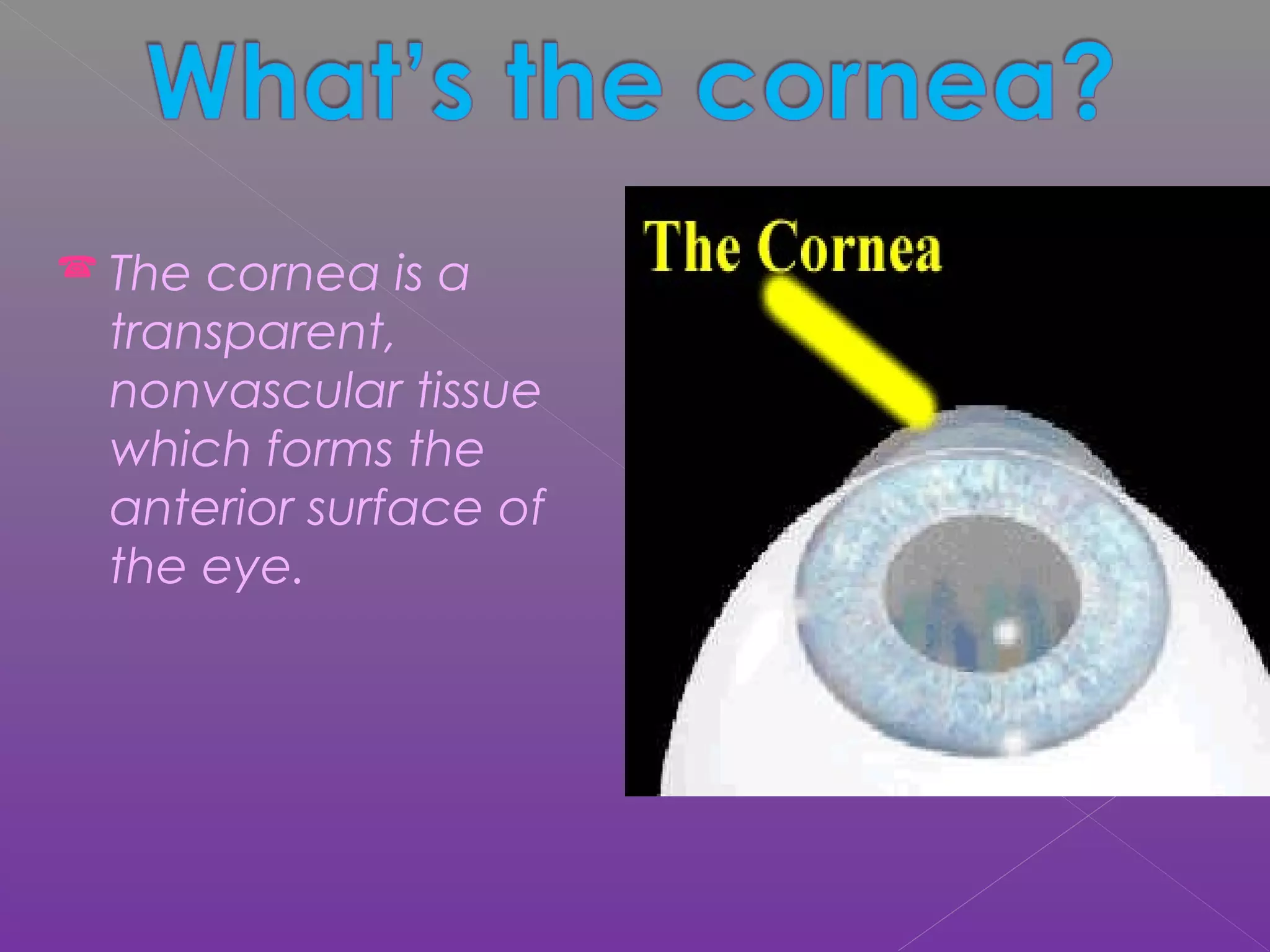 Anatomy of the cornea | PPT