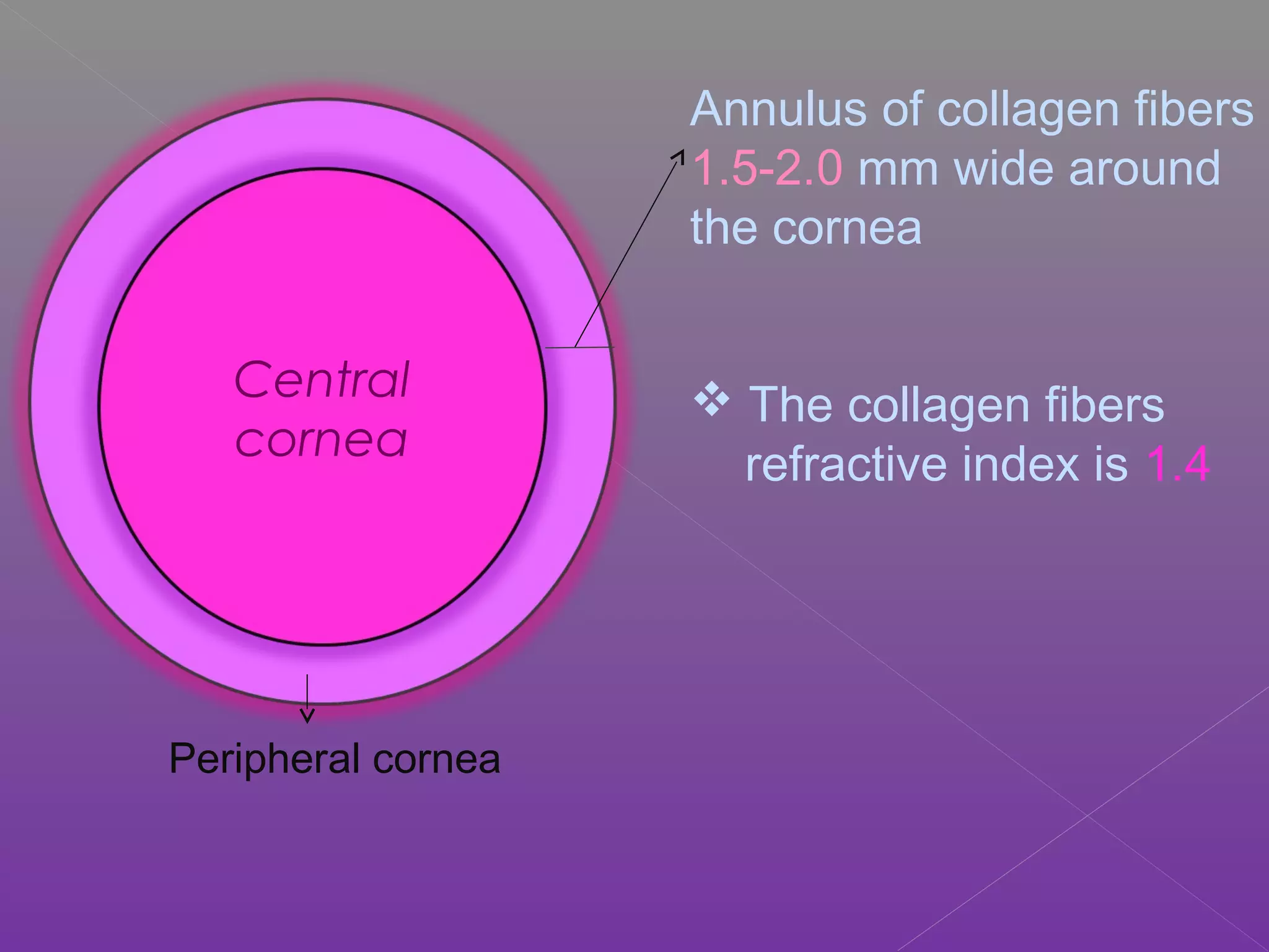 Anatomy of the cornea | PPT