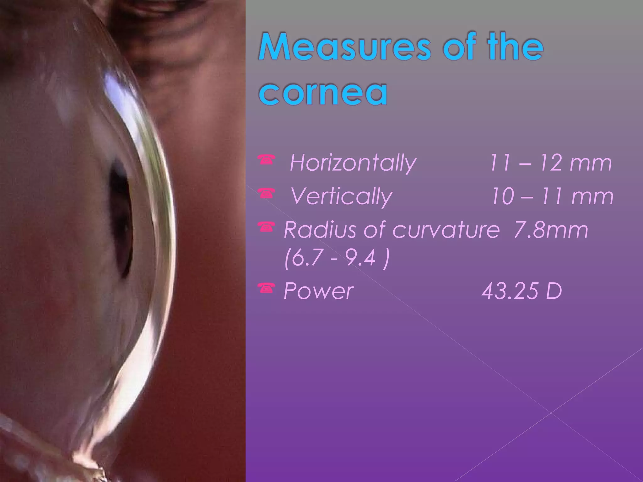 Anatomy of the cornea | PPT