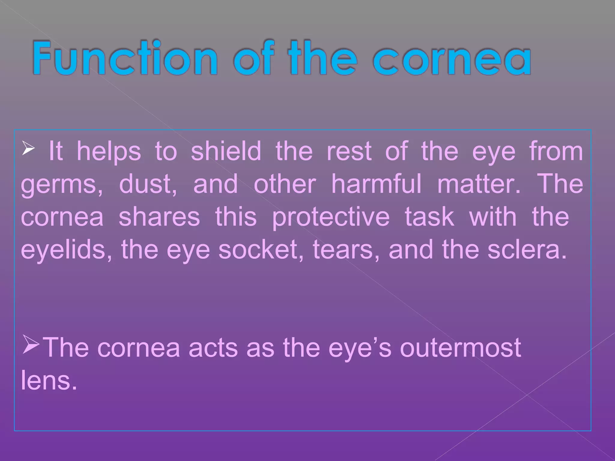 Anatomy of the cornea | PPT