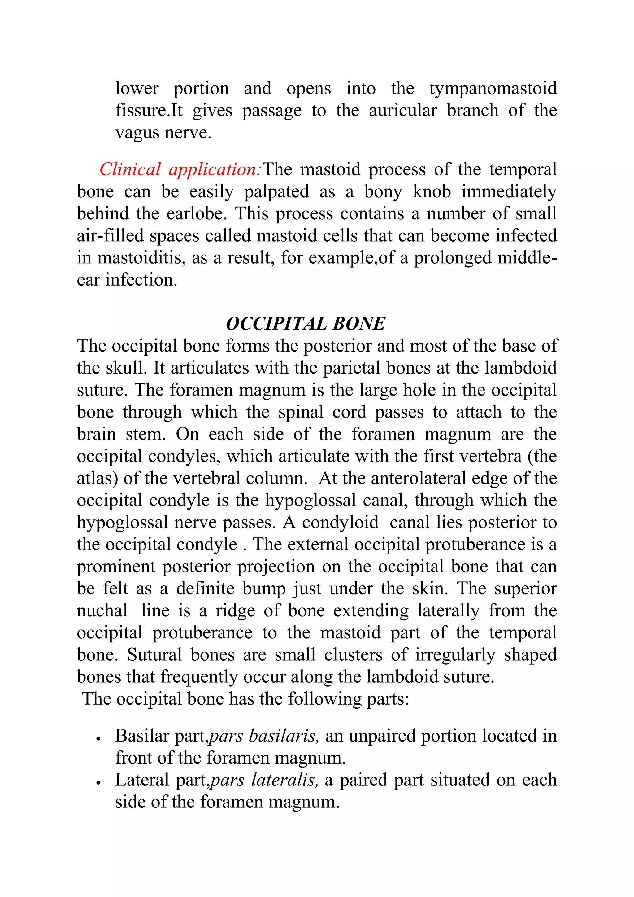Anatomy of the cranial bones | DOCX
