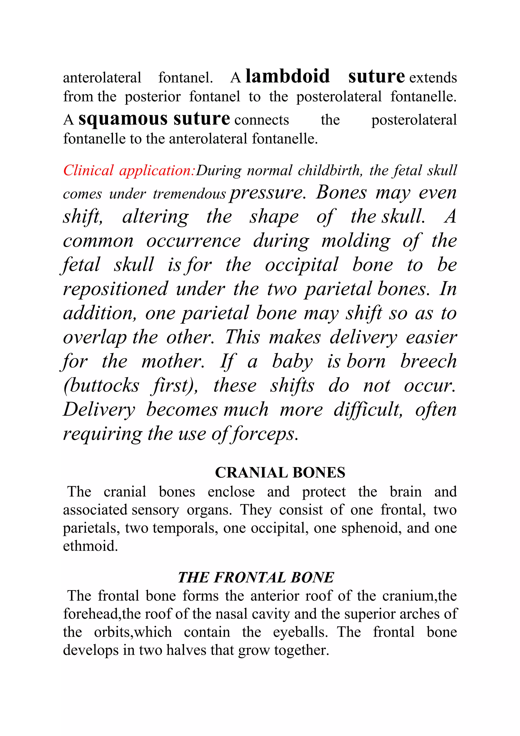 Anatomy of the cranial bones | DOCX