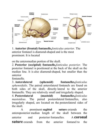 Anatomy of the cranial bones | DOCX