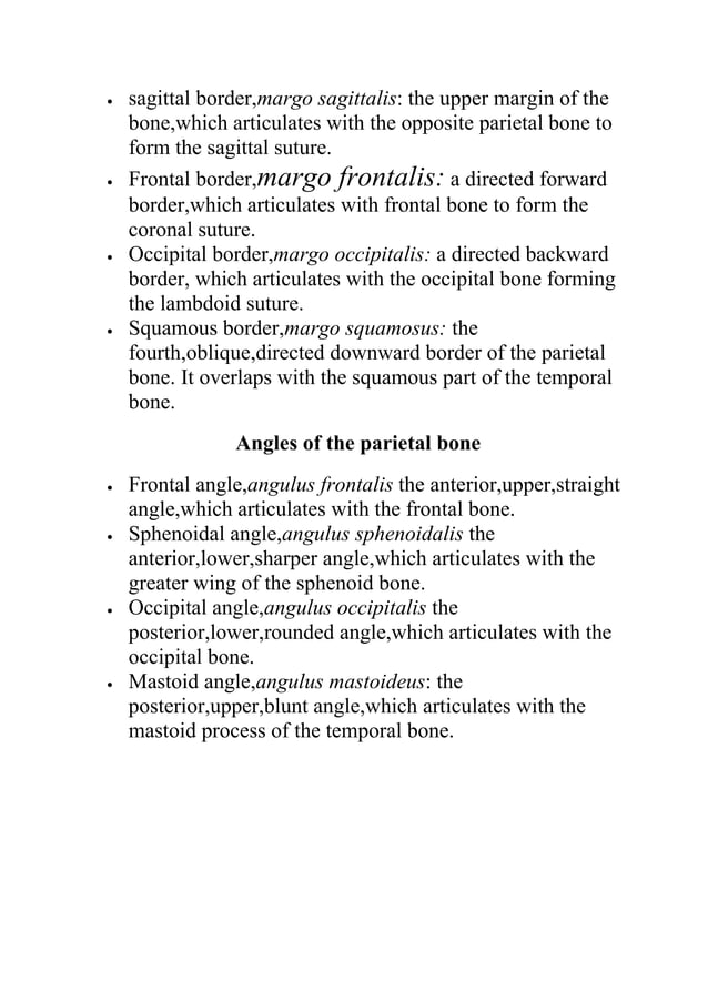 Anatomy of the cranial bones | DOCX | Ear, Nose and Throat Conditions ...