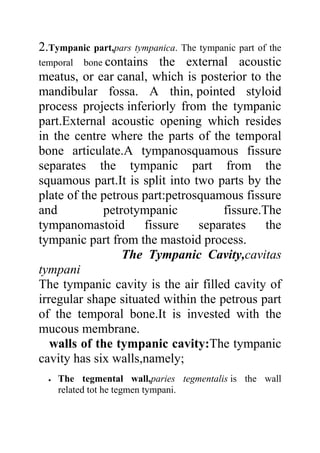 Anatomy of the cranial bones | DOCX | Ear, Nose and Throat Conditions ...