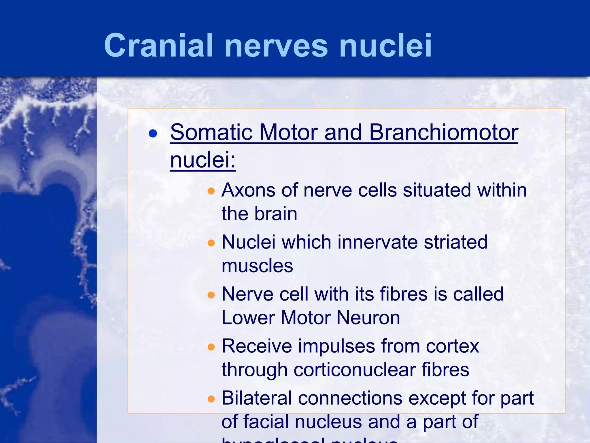 Anatomy of the cranial nerves | PPTX