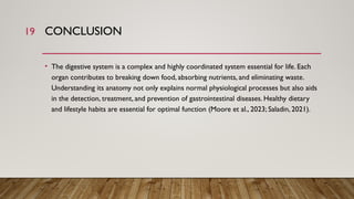 ANATOMY OF THE DIGESTIVE SYSTEM nafisat[1].pptx