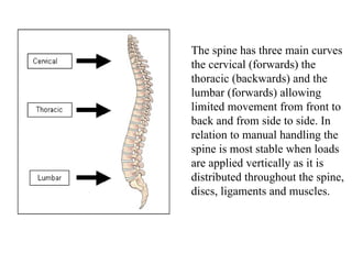 anatomy of the spinal disc - cervical .ppt