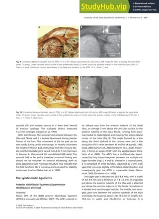 Anatomy Of The Distal Tibiofibular Syndesmosis In Adults A Pictorial ...