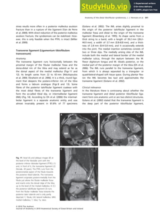 Anatomy Of The Distal Tibiofibular Syndesmosis In Adults A Pictorial ...