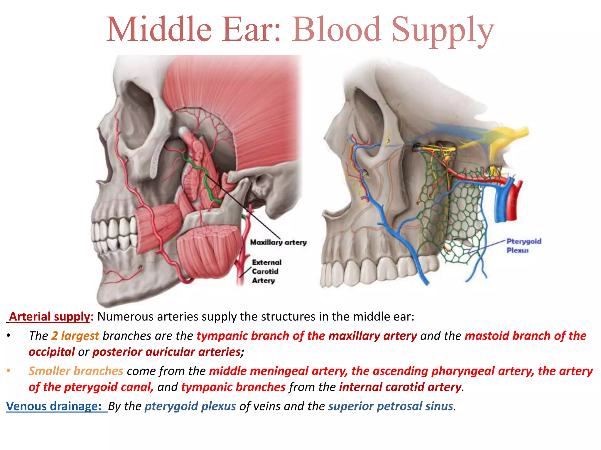 Anatomy of the ear | PPTX