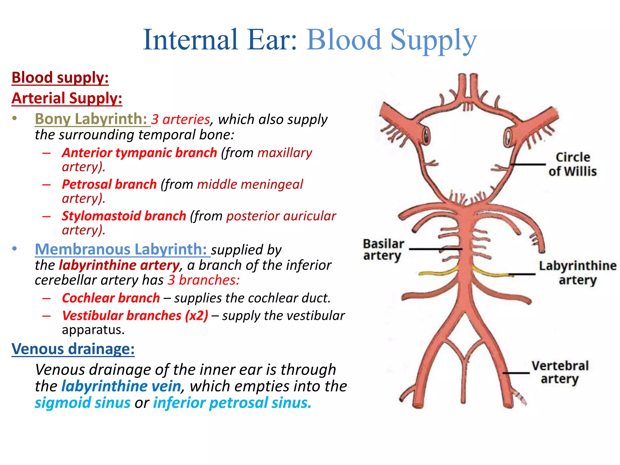 Anatomy of the ear | PPTX