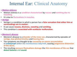 Anatomy of the ear | PPTX