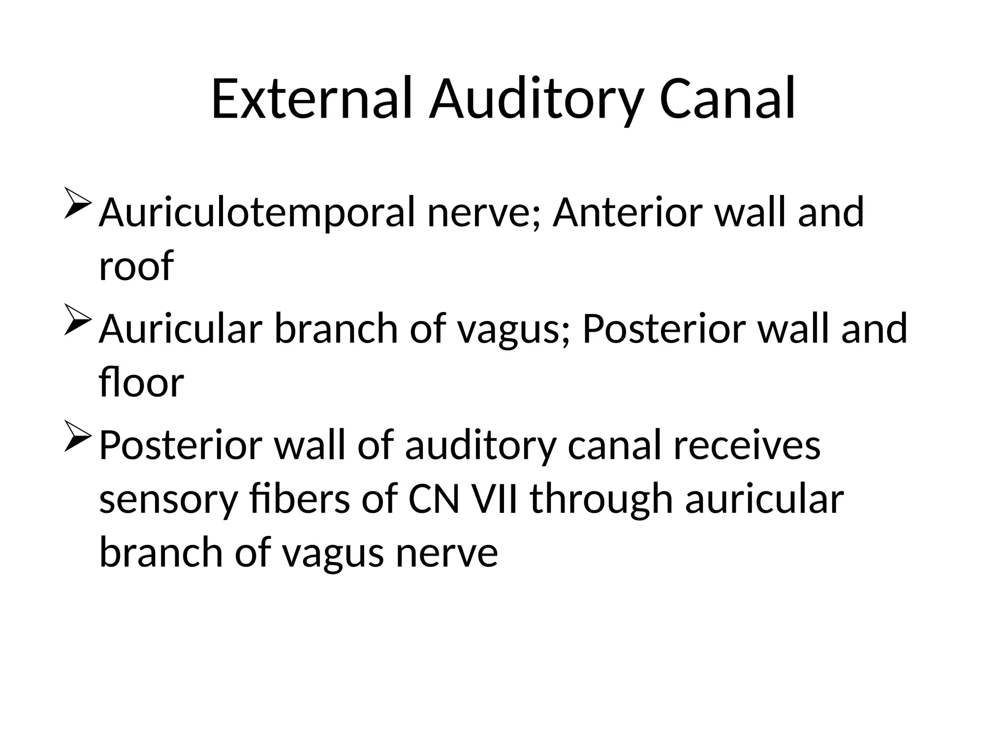 Anatomy Of the External ear and anatomy of inner ear | PPT
