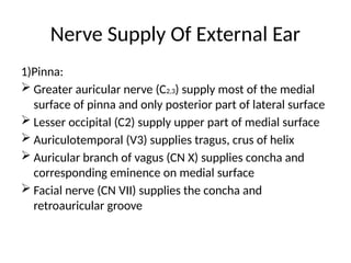 Anatomy Of the External ear and anatomy of inner ear | PPT