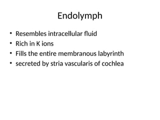 Anatomy Of the External ear and anatomy of inner ear | PPTX