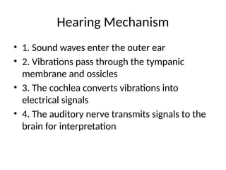 Anatomy_of_the_Ear.pptx ppt of anatomy of ear | PPT
