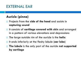 THE ANATOMY OF THE EAR FOR MEDICAL STUDENTS | PDF