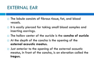 THE ANATOMY OF THE EAR FOR MEDICAL STUDENTS | PDF