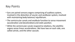Comprehensive Overview of Ear Anatomy and Physiology: Hearing and ...