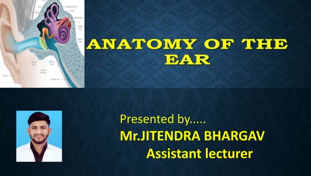 EAR ANATOMY AND PHYSIOLOGY SLIDESHARE | PPTX