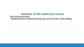 Anatomy of the endocrine system.pptx