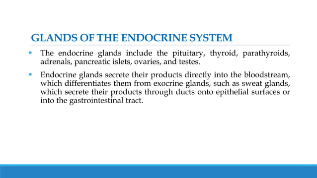 Anatomy of the endocrine system.pptx