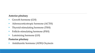 Anatomy of the endocrine system.pptx