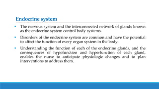 Anatomy of the endocrine system.pptx
