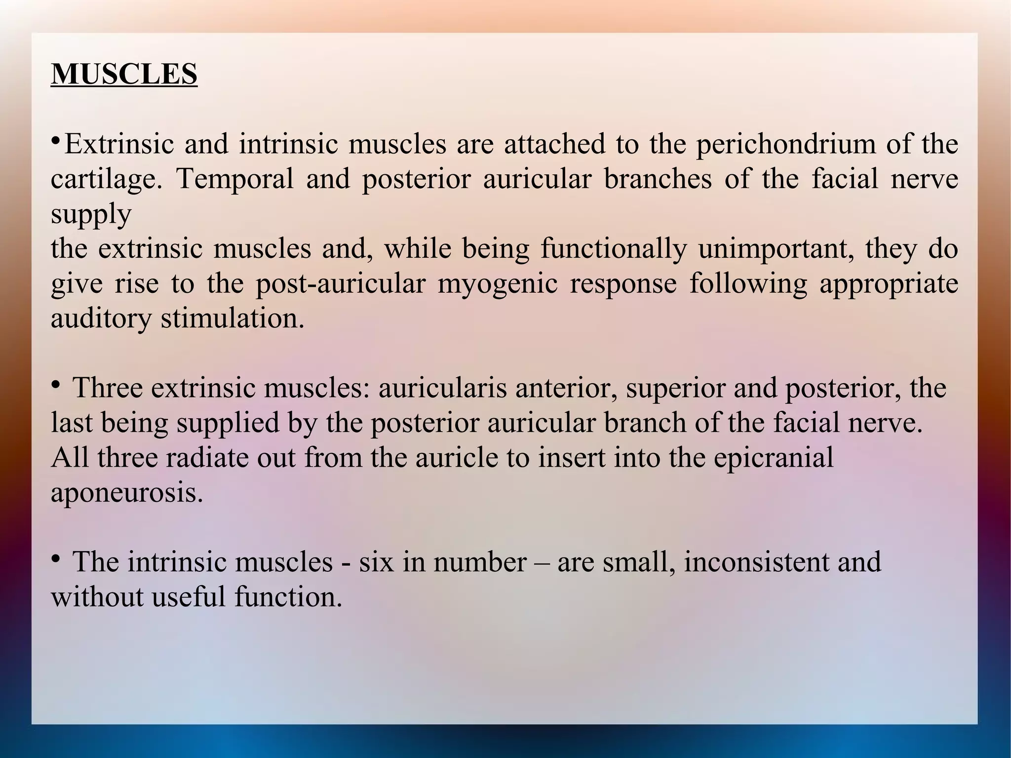 Anatomy of the external and middle ear | PPT